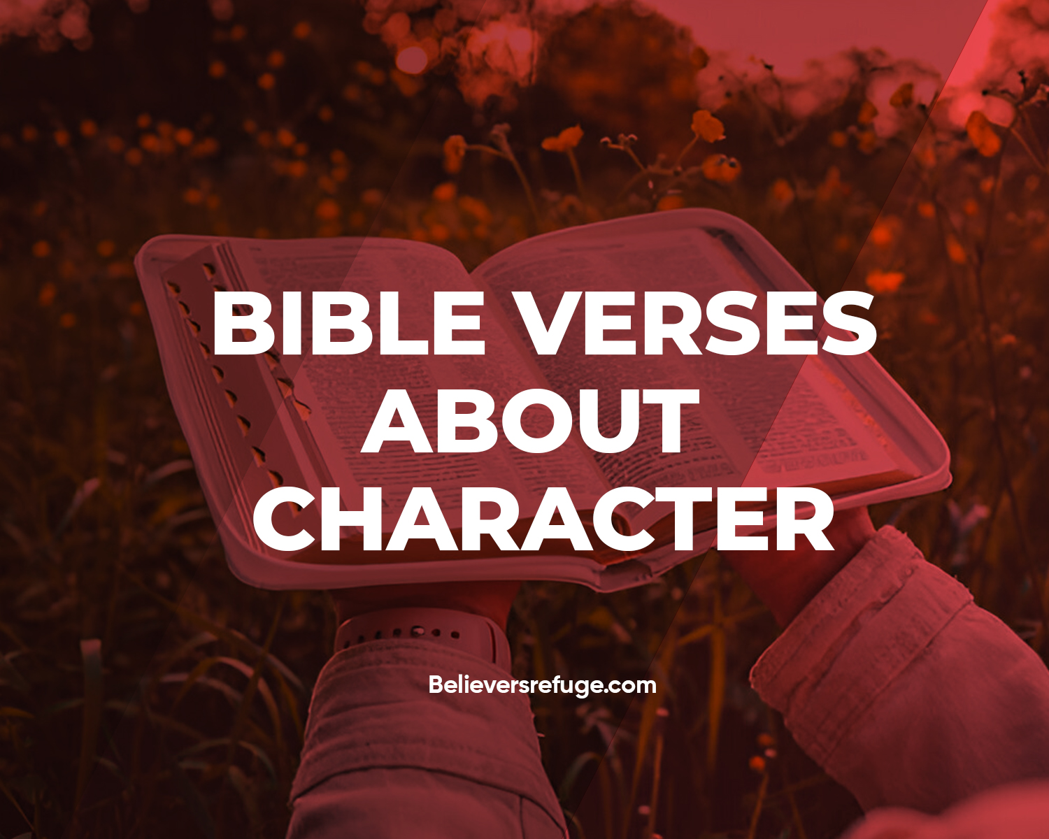 40 Bible Verses About Character - Believers Refuge