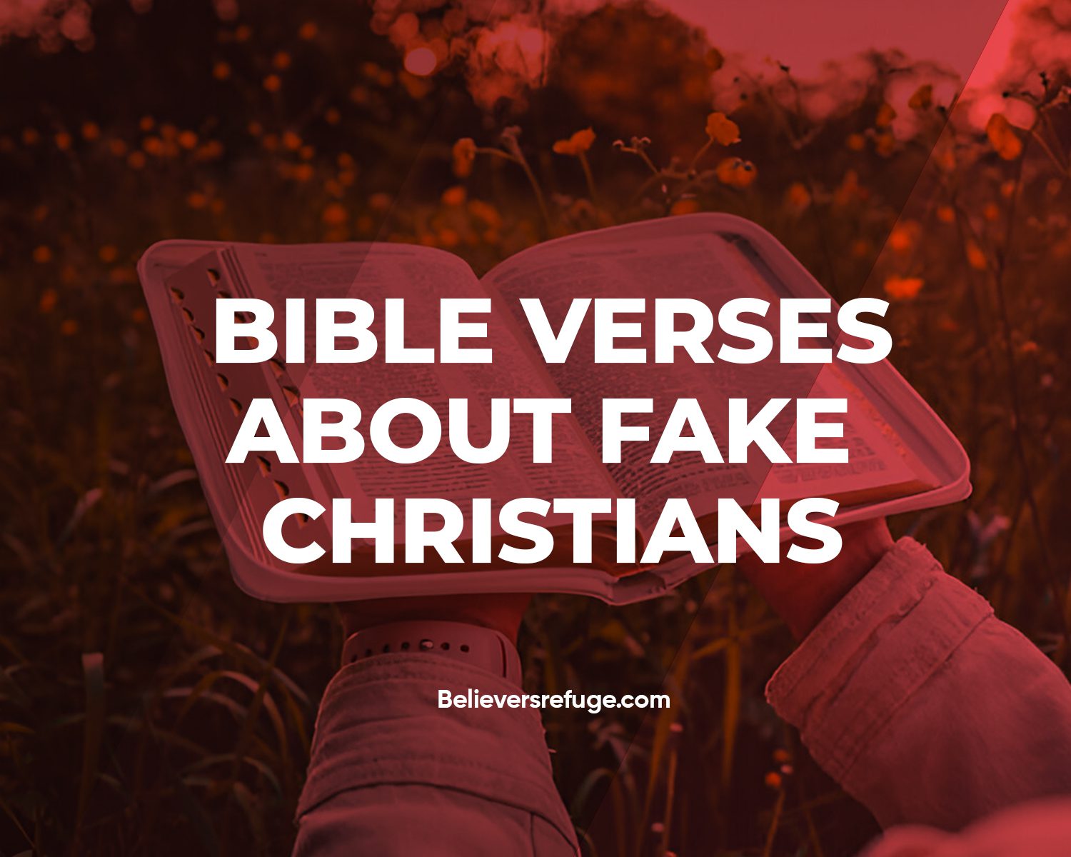 35 Bible Verses About Fake Christians - Believers Refuge