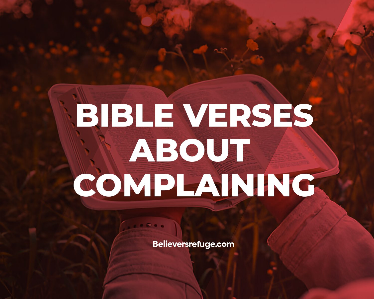 30 Bible Verses About Complaining Believers Refuge