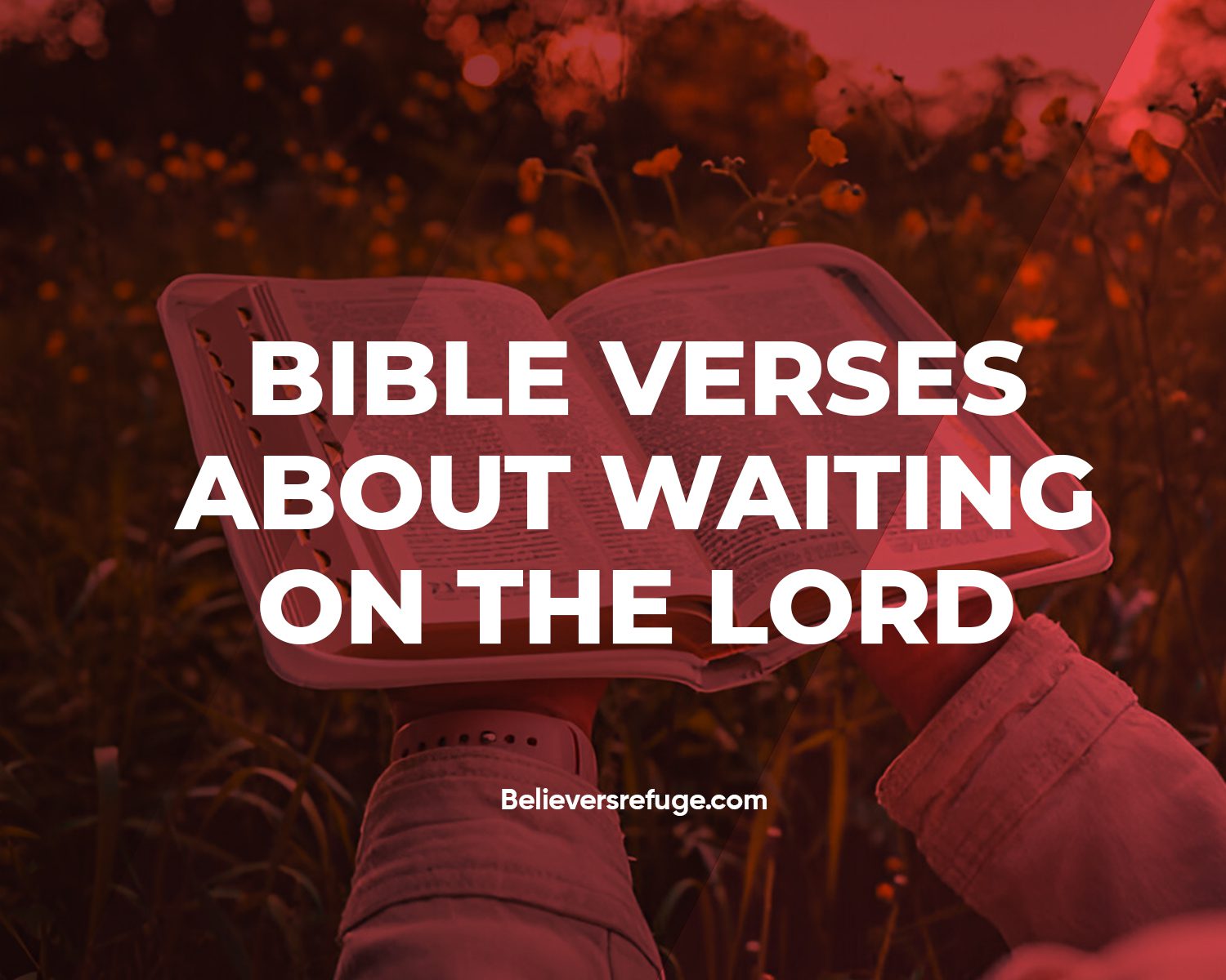 35 Bible Verses About Waiting on the Lord - Believers Refuge