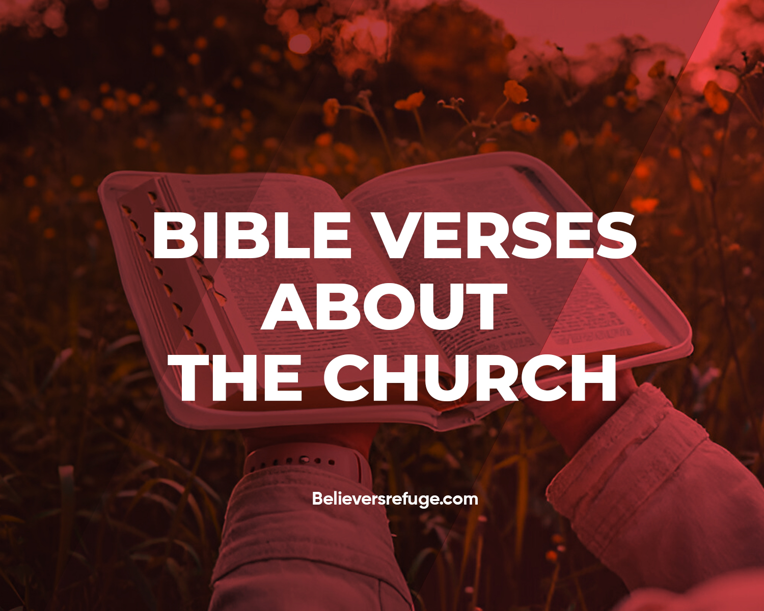 30 Bible Verses About the Church - Believers Refuge