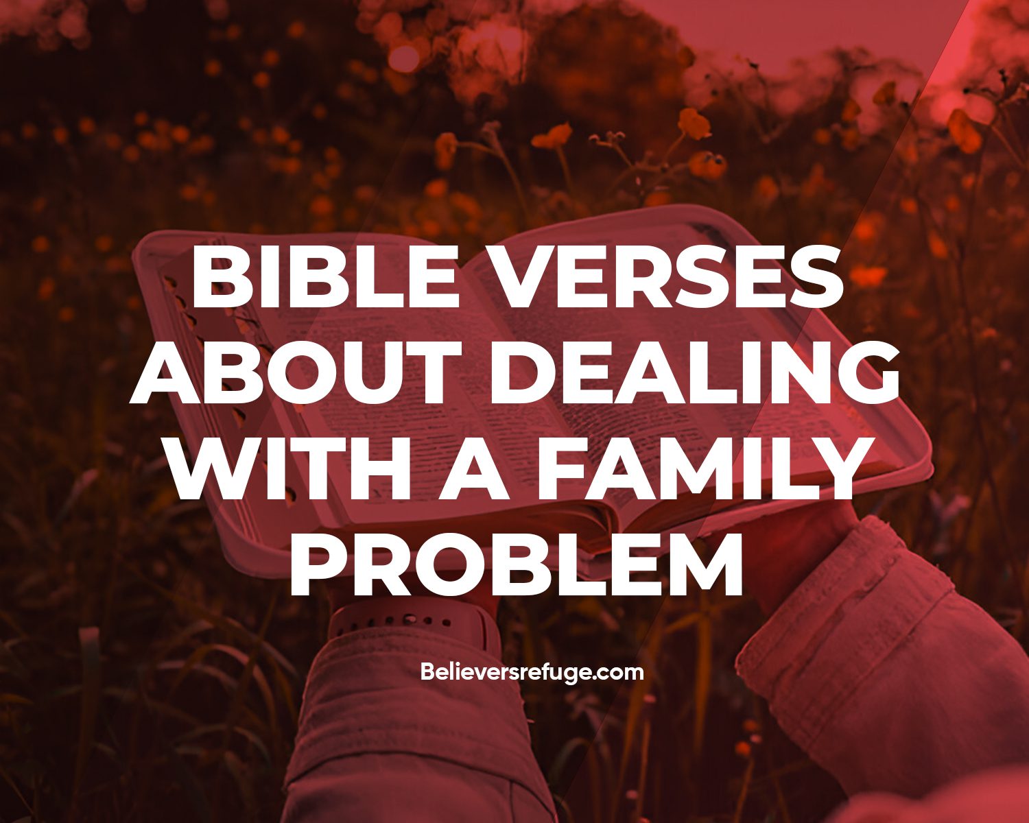 35 Bible Verses About Dealing With a Family Problem - Believers Refuge
