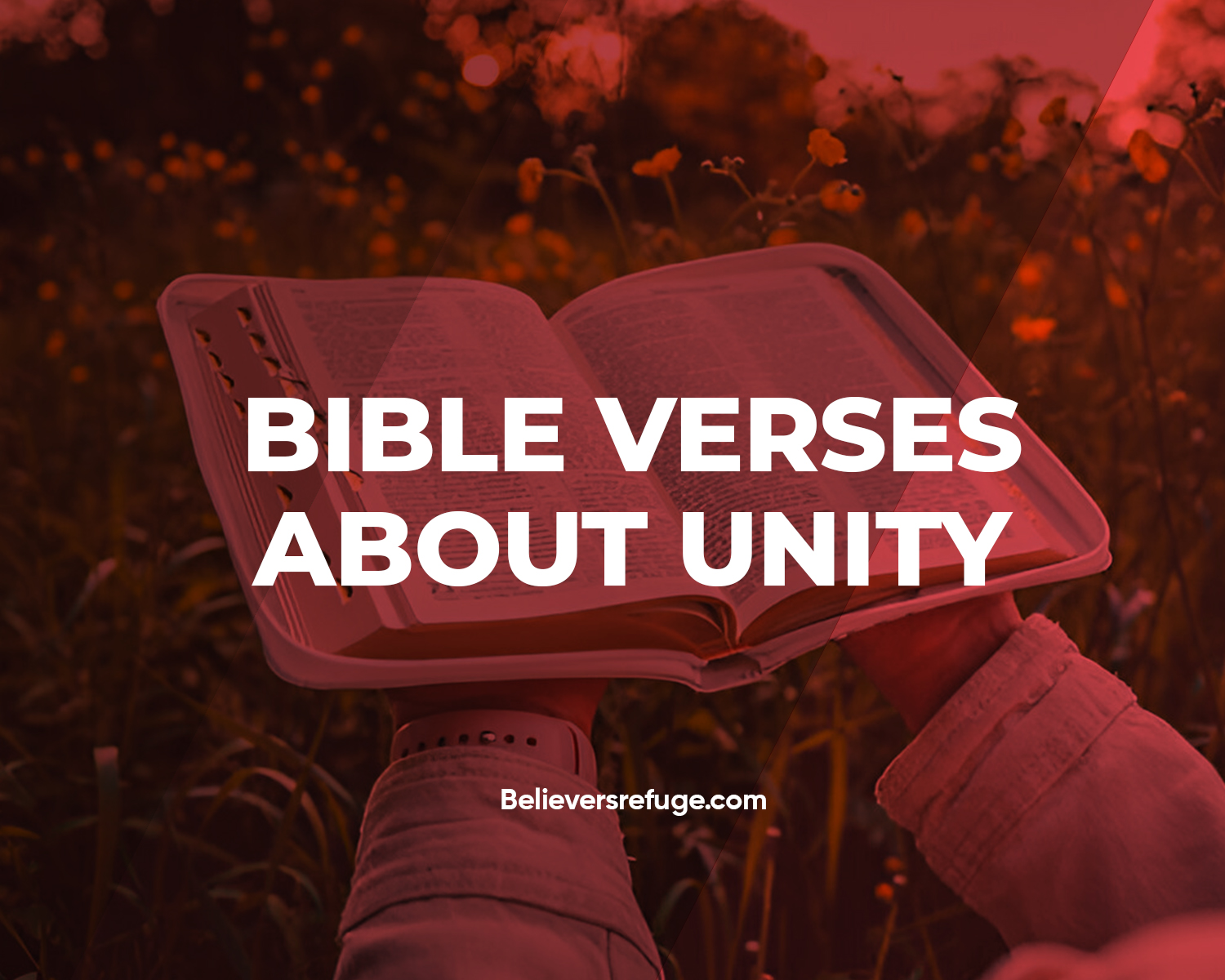 37 Bible Verses About Unity - Believers Refuge