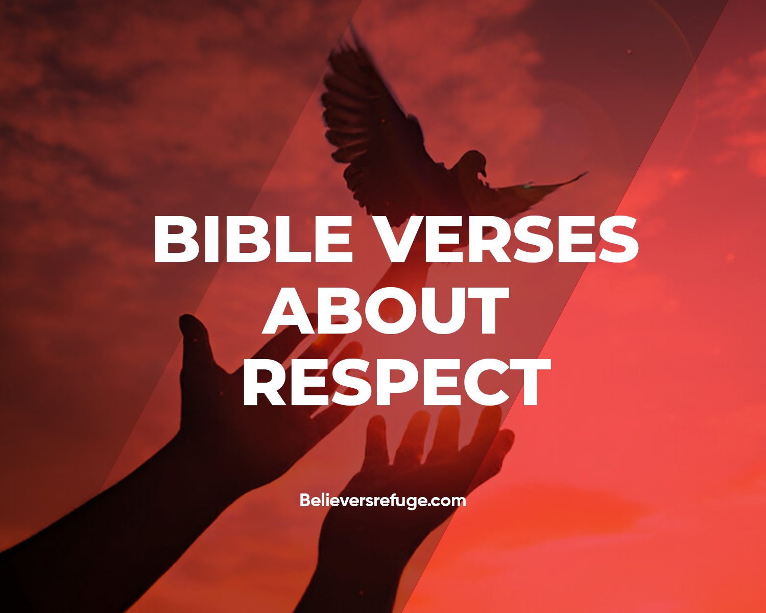 35 Bible Verses About Respect - Believers Refuge