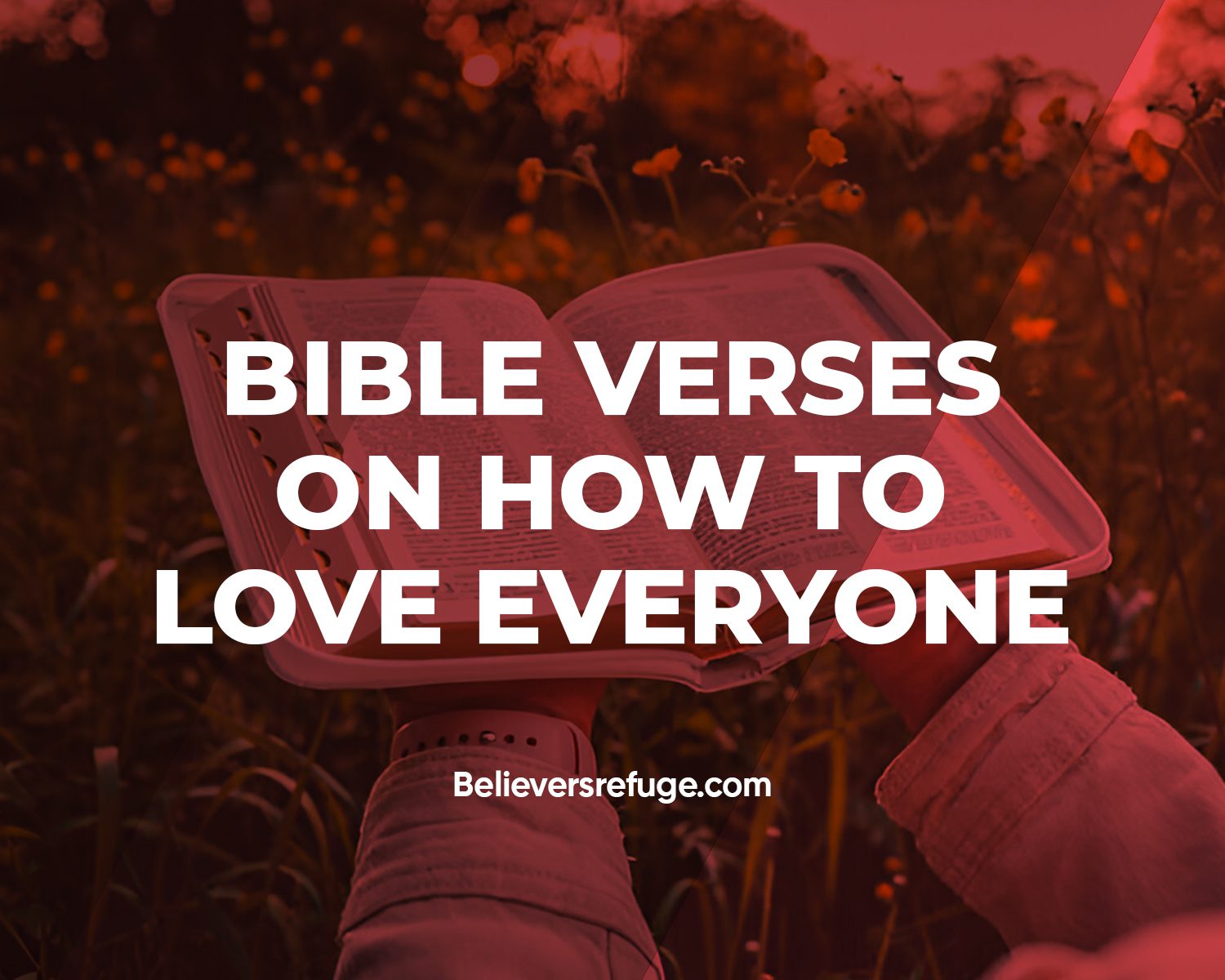35 Bible Verses On How To Love Everyone - Believers Refuge