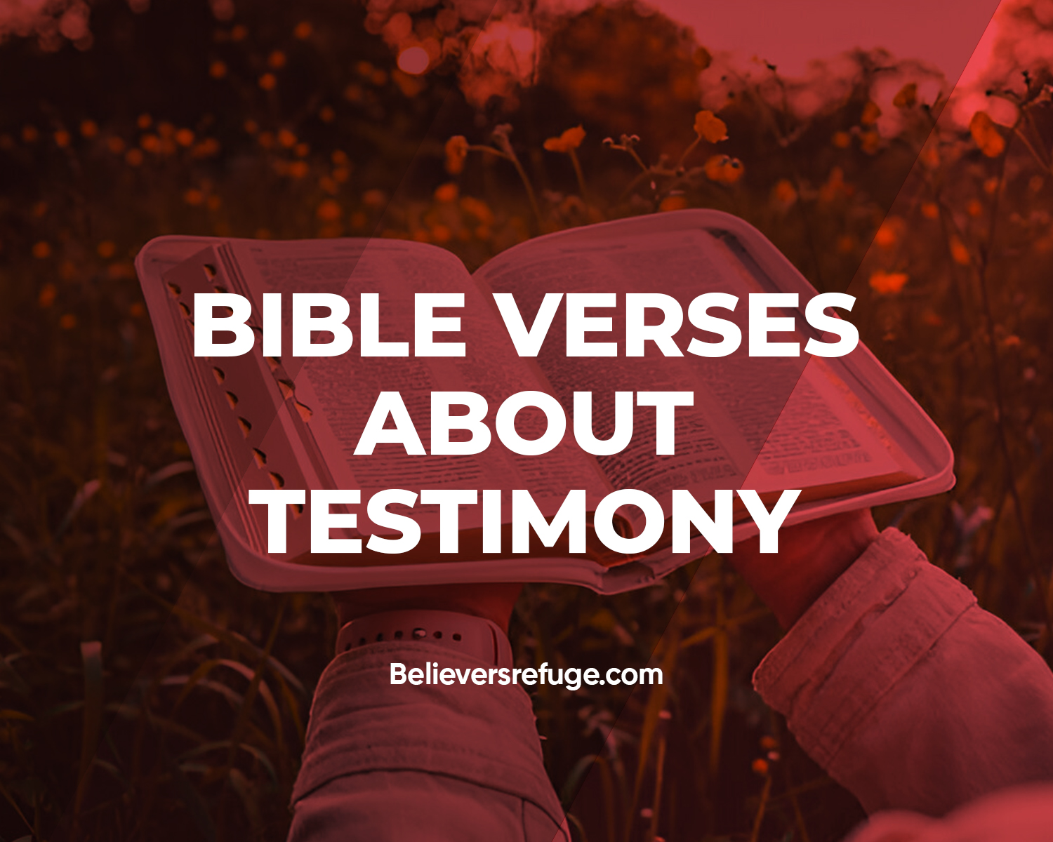 35 Bible Verses About Testimony - Believers Refuge