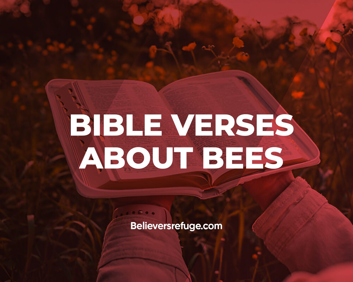 35 Bible Verses About Bees - Believers Refuge