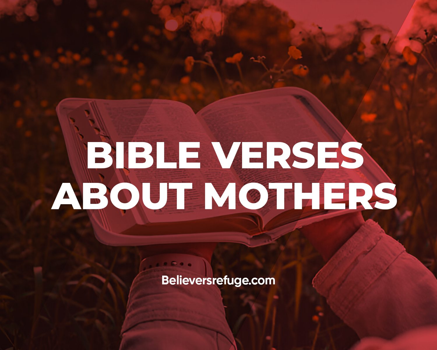 35 Bible Verses About Mothers - Believers Refuge