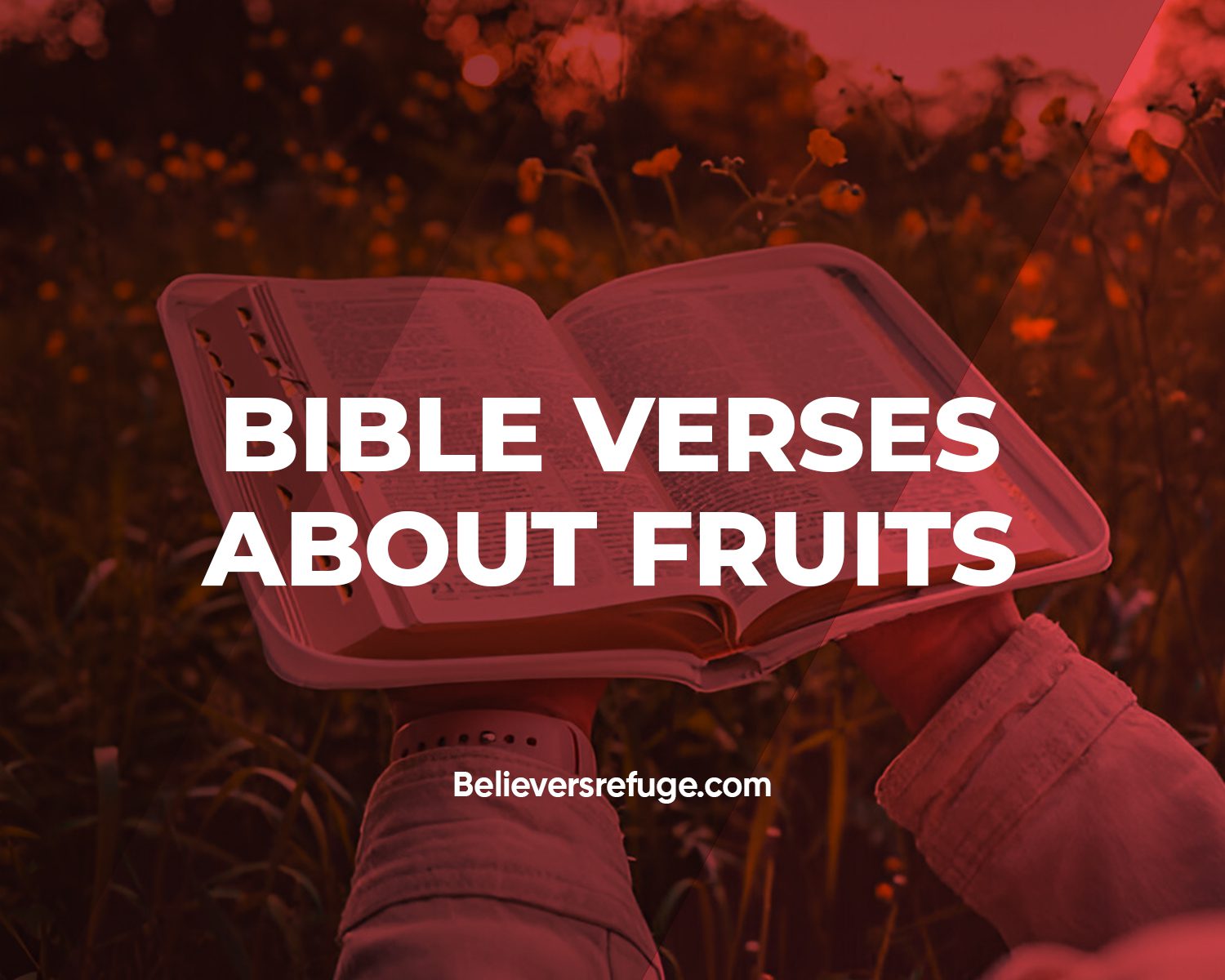 35 Bible Verses About Fruits - Believers Refuge