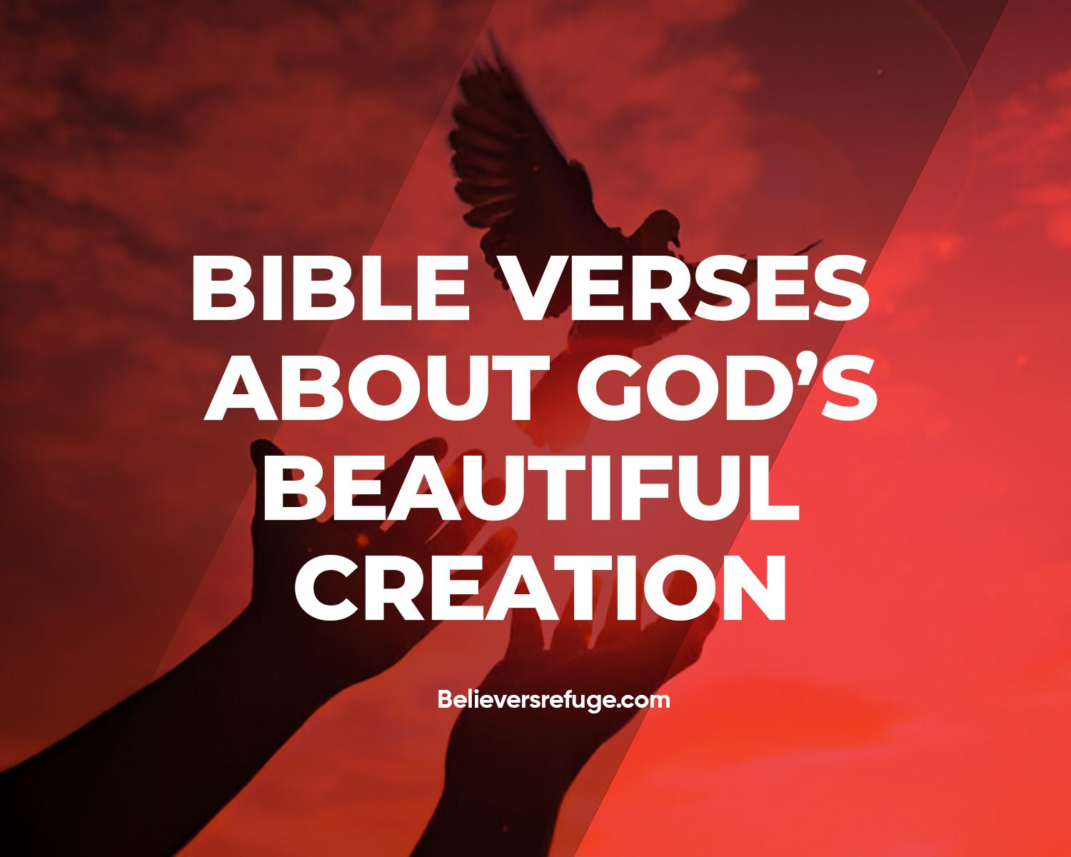 35 Bible Verses About God’s Beautiful Creation - Believers Refuge