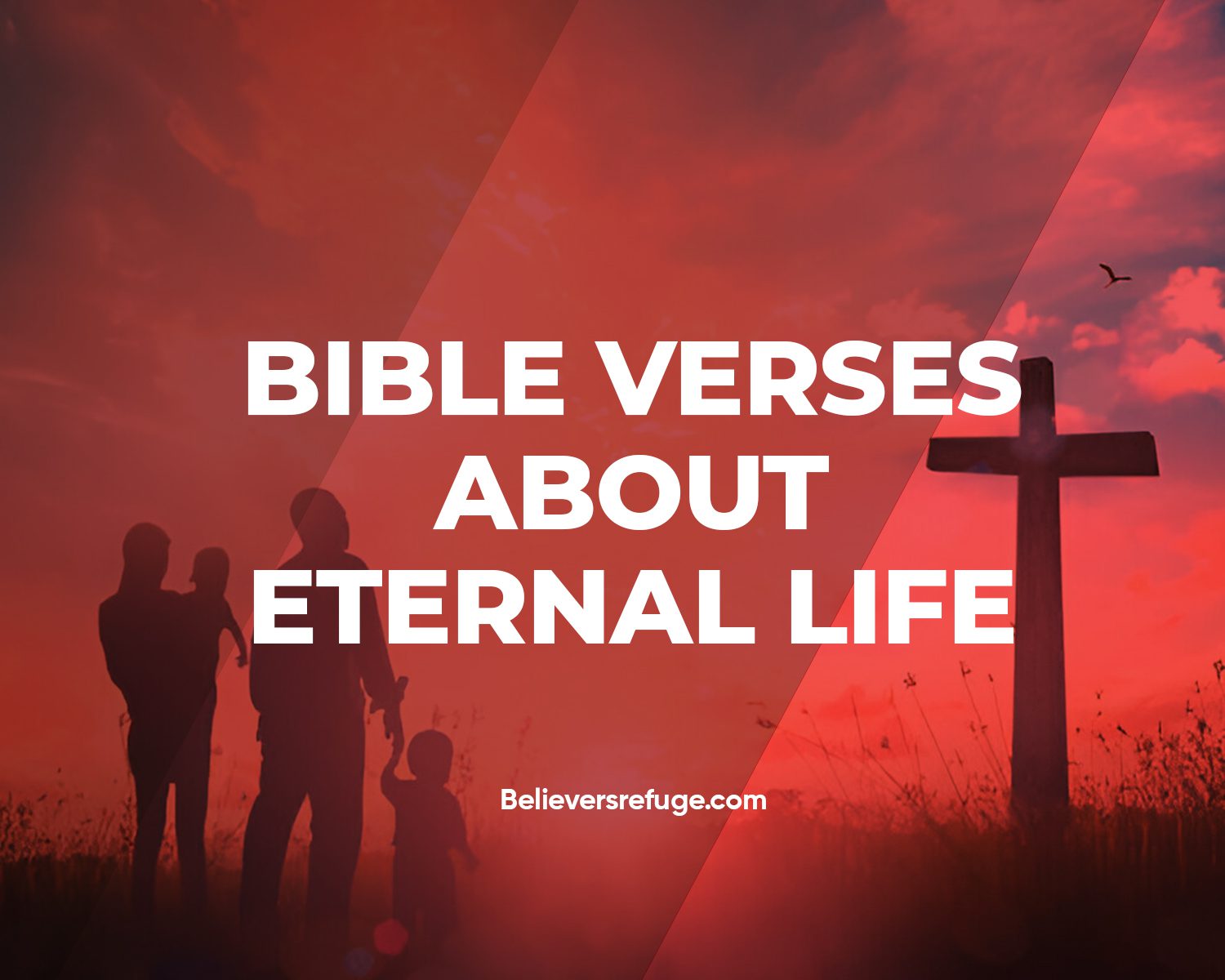 35 Bible Verses About Eternal Life - Believers Refuge