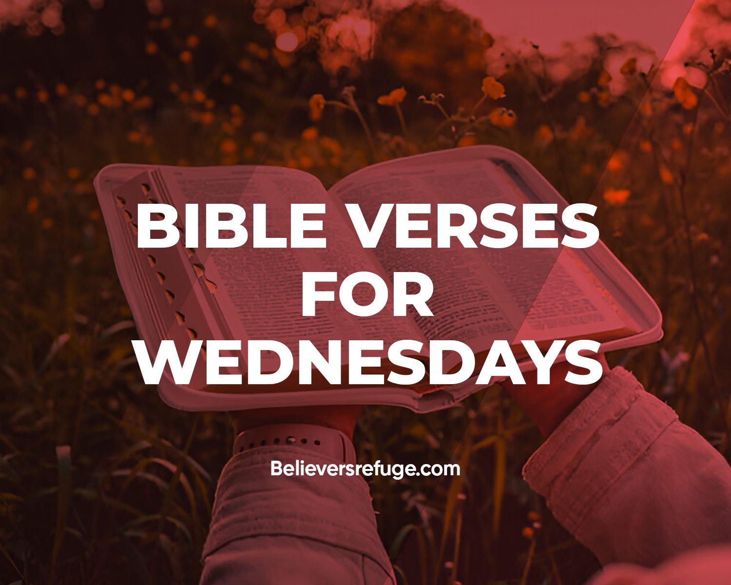 30 Bible Verses For Wednesdays - Believers Refuge
