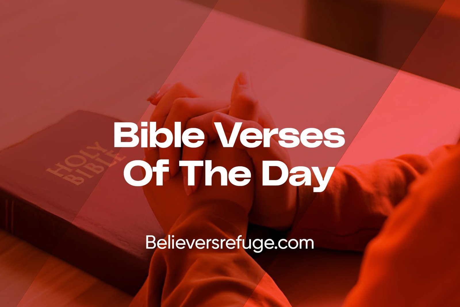 Bible Verses of the Day: Sunday, August 30, 2026 - Believers Refuge